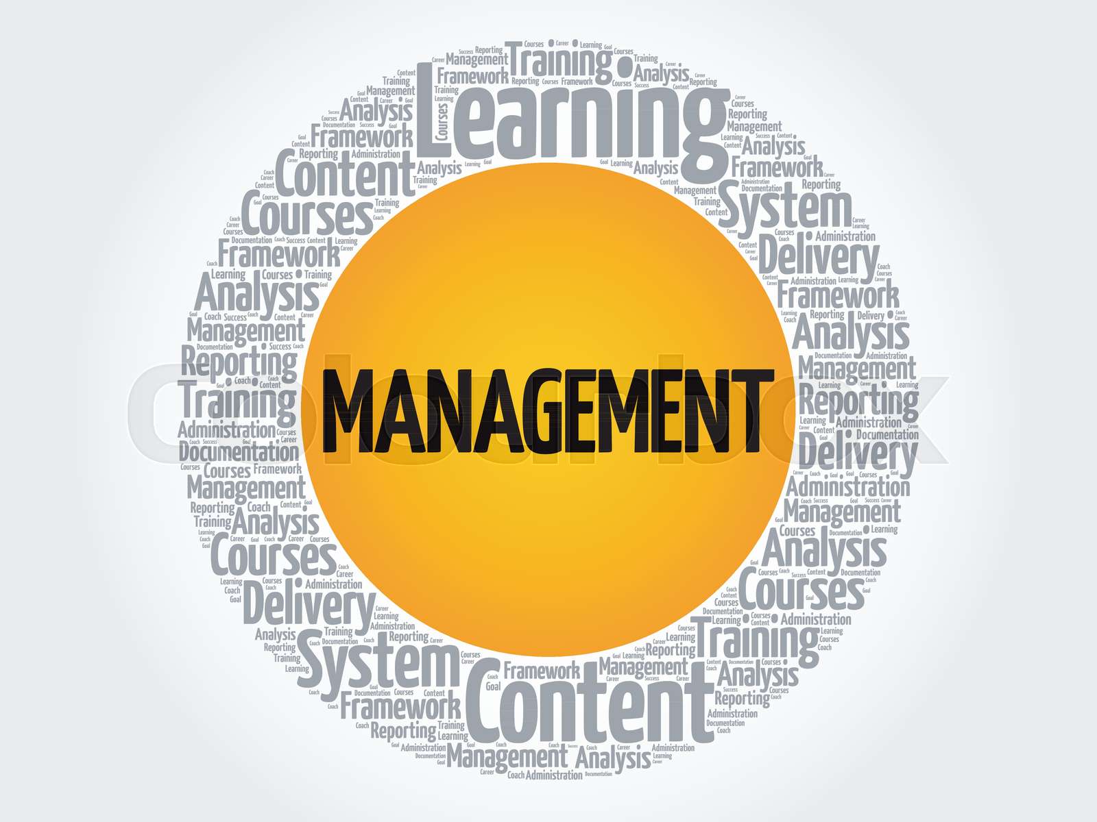 MANAGEMENT circle stamp | Stock vector | Colourbox