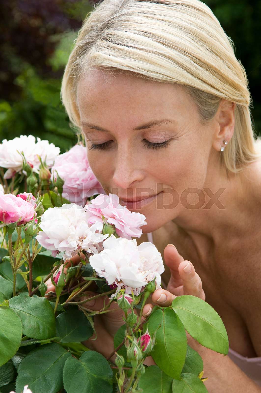 Woman smelling roses | Stock image | Colourbox