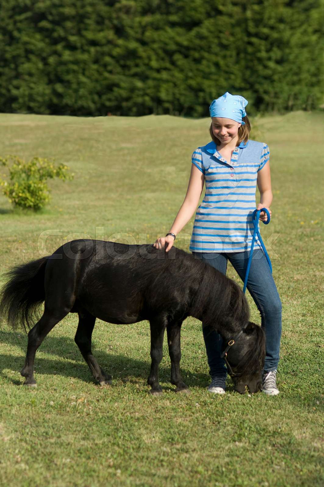 Miniature horse running | Stock image | Colourbox