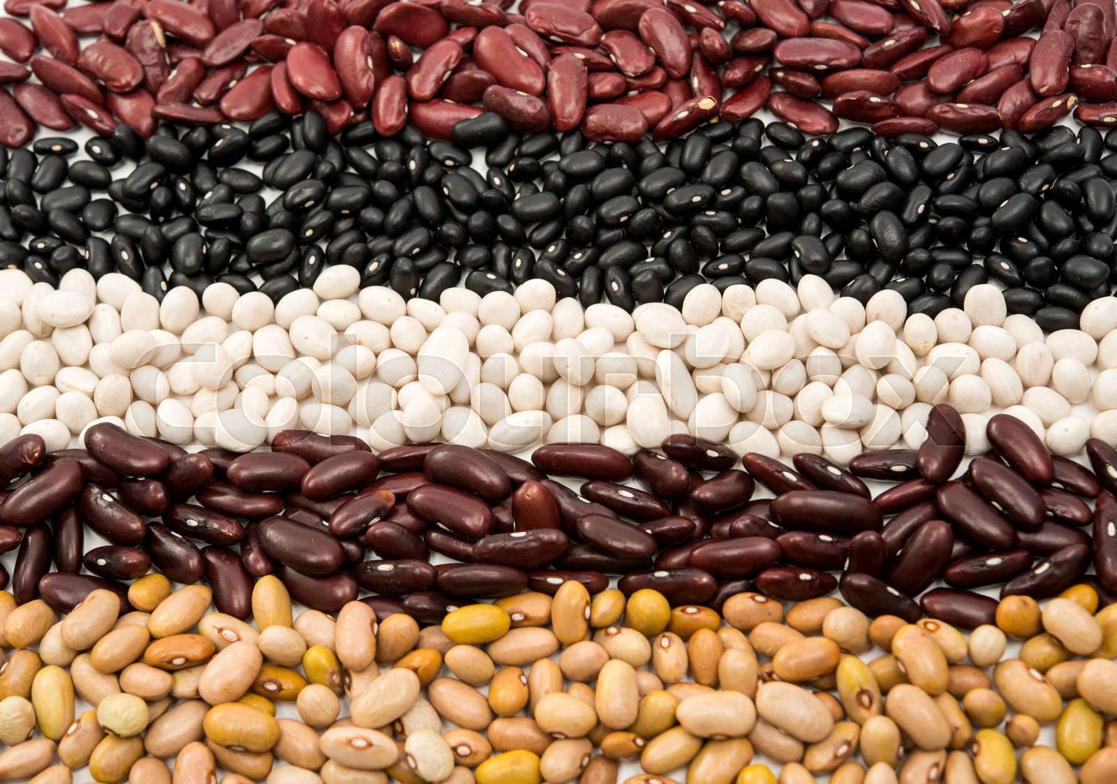 set of different beans isolated | Stock image | Colourbox
