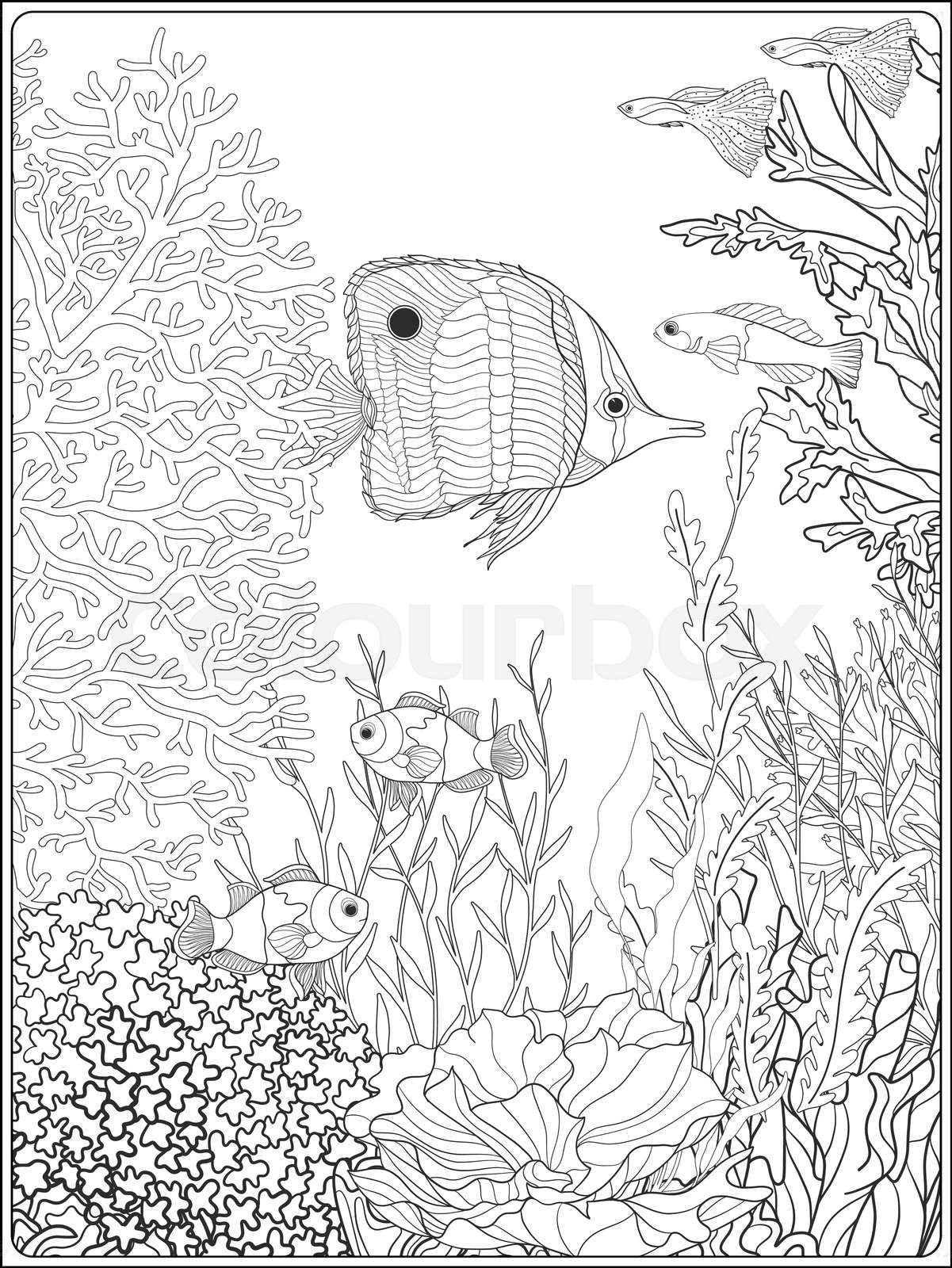 Adult coloring book. Coloring page with underwater world coral reef ...