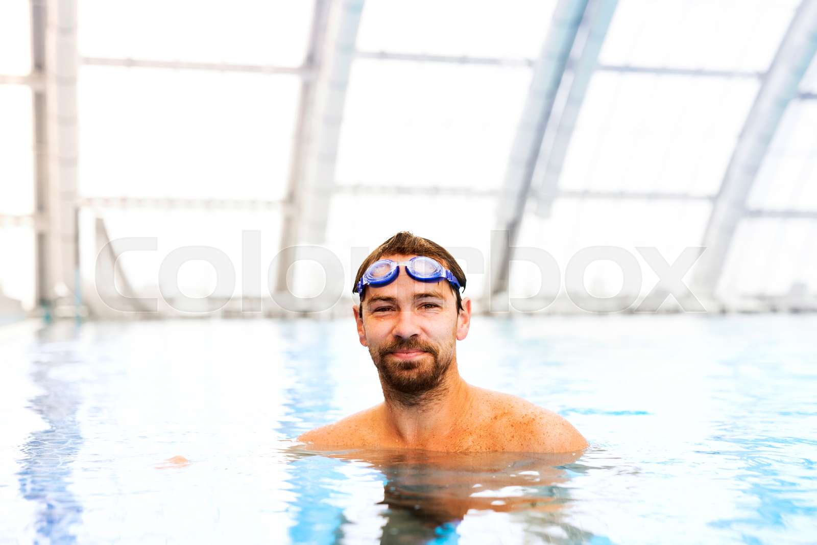 Man swimming in an indoor swimming pool. | Stock image | Colourbox