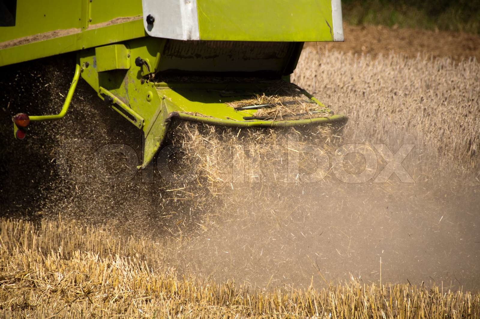 Closeup of a combine harvesting corn on a german field The corn stays ...