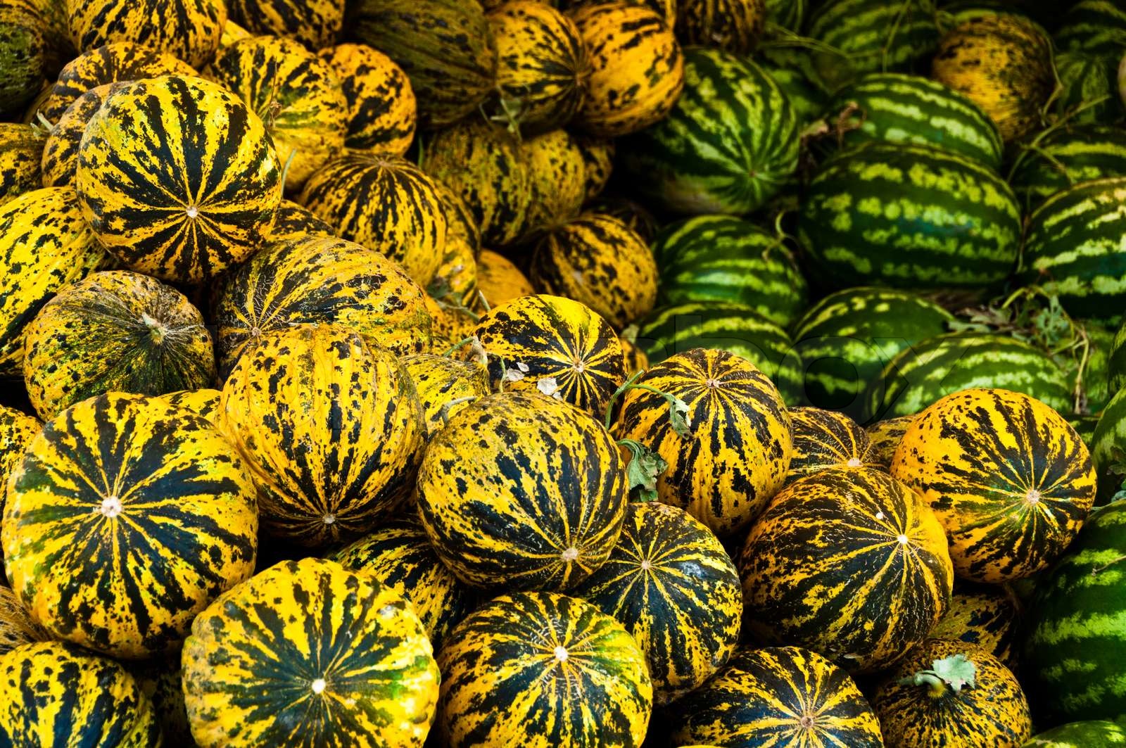 Large collection of Yellow Water Melons sold at large market in Fethiye ...