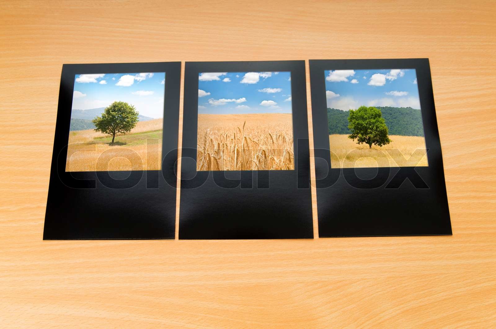 Picture frames with nature photos | Stock image | Colourbox