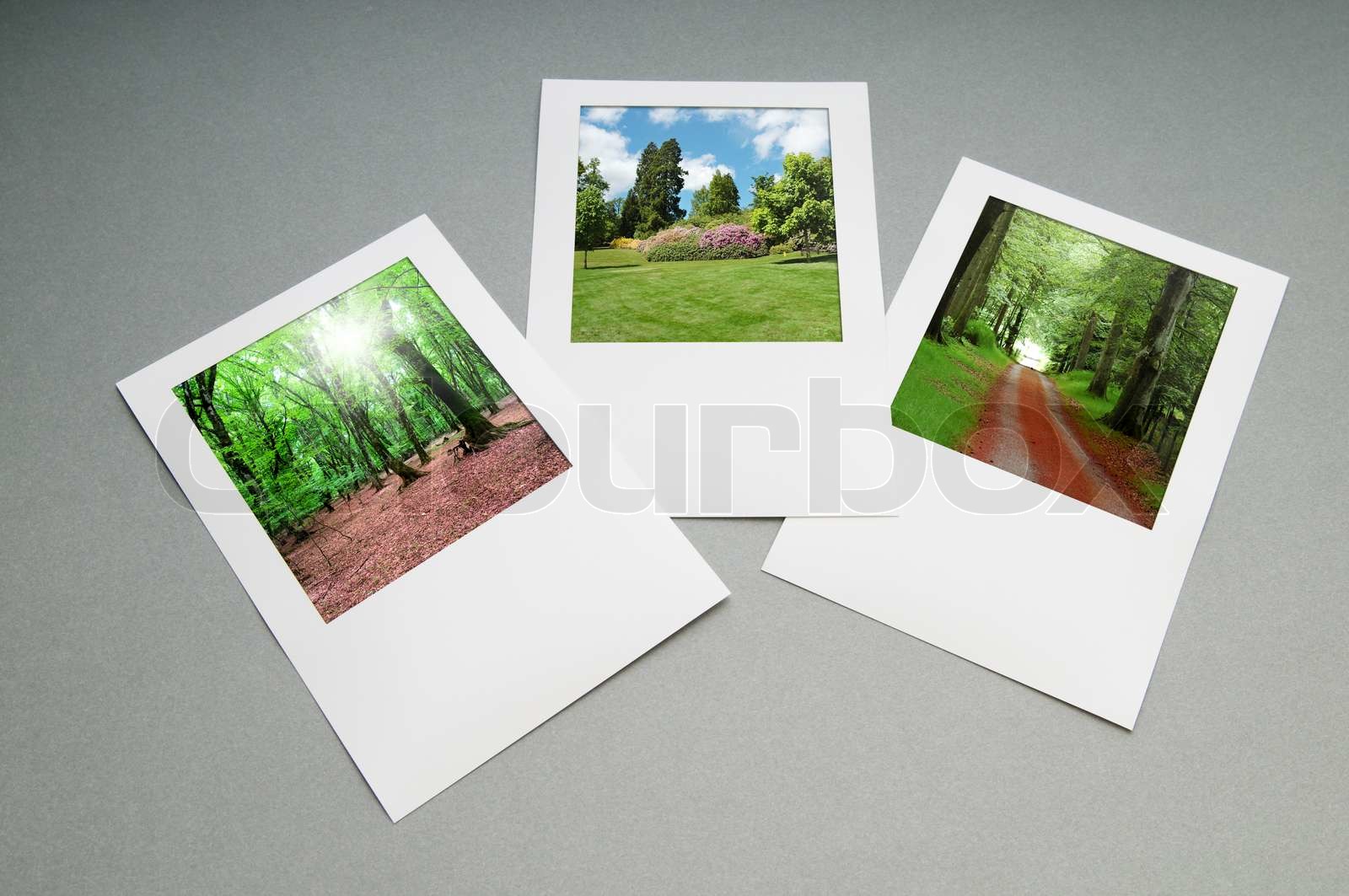 Picture frames with nature photos | Stock image | Colourbox