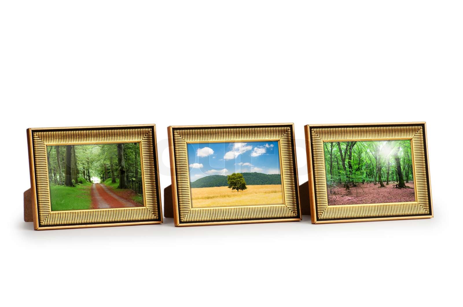 Picture frames with nature photos | Stock image | Colourbox