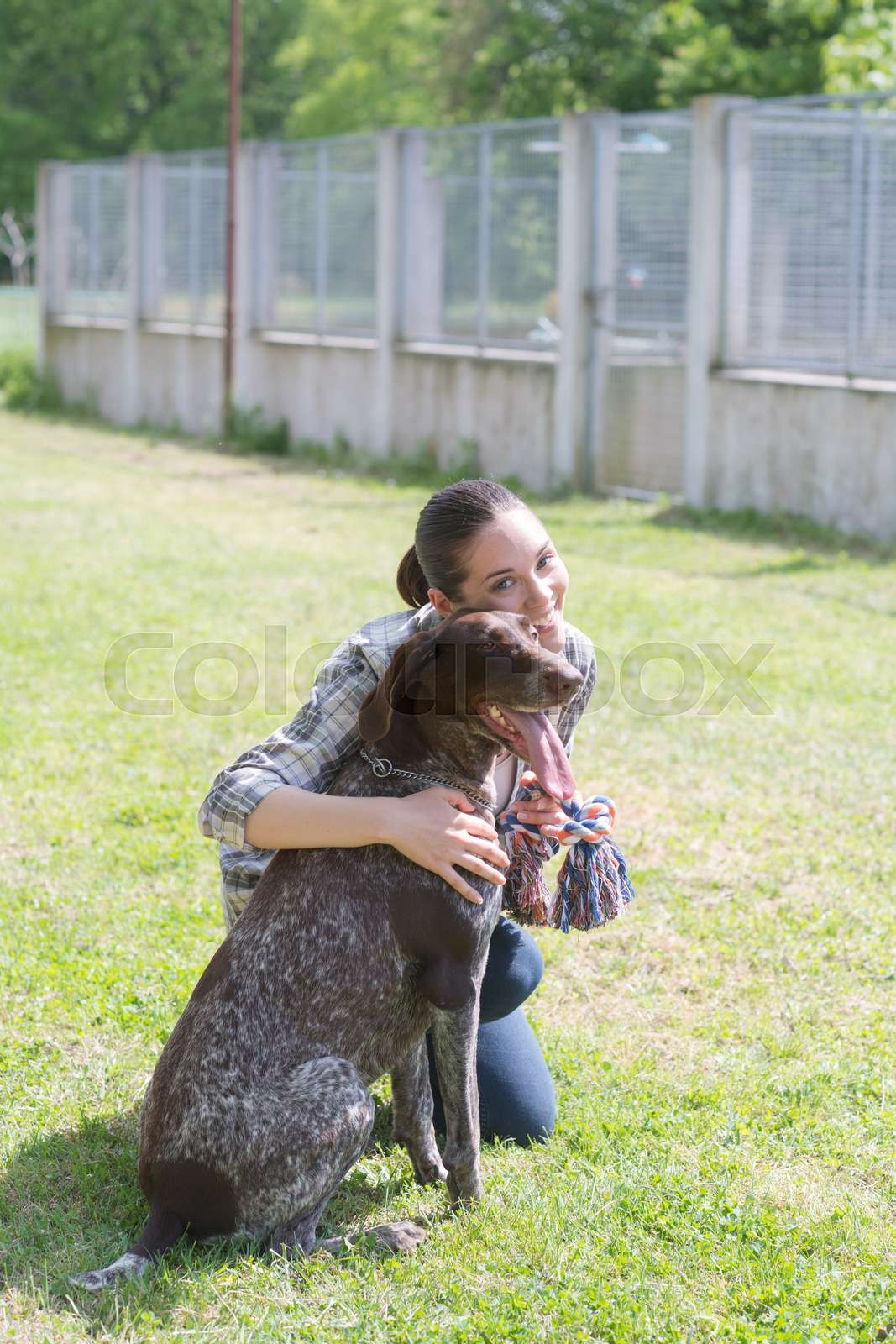 dedicated girl training dog in kennel | Stock image | Colourbox