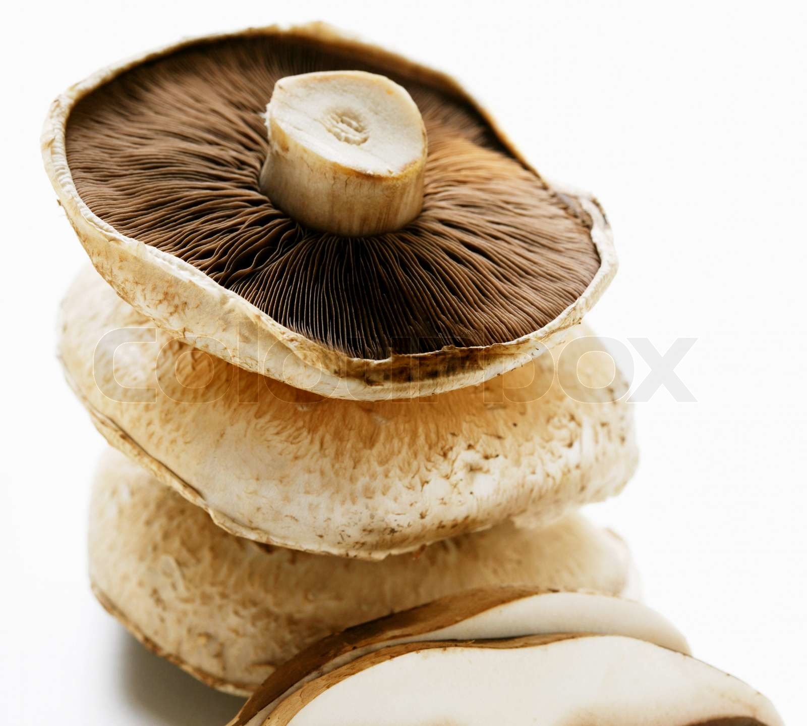 mashroom | Stock image | Colourbox