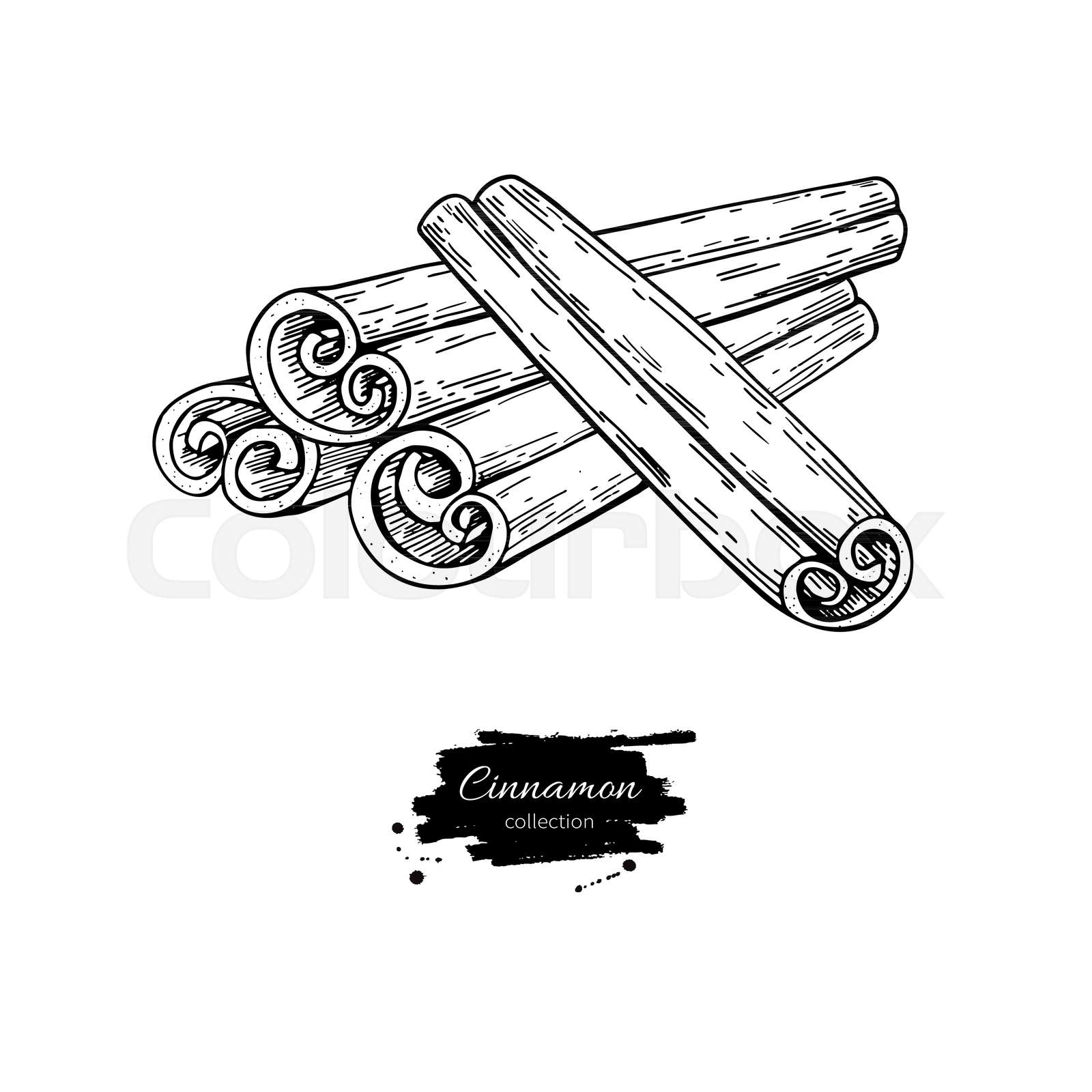 Cinnamon stick vector drawing. Hand drawn sketch. Seasonal food | Stock ...