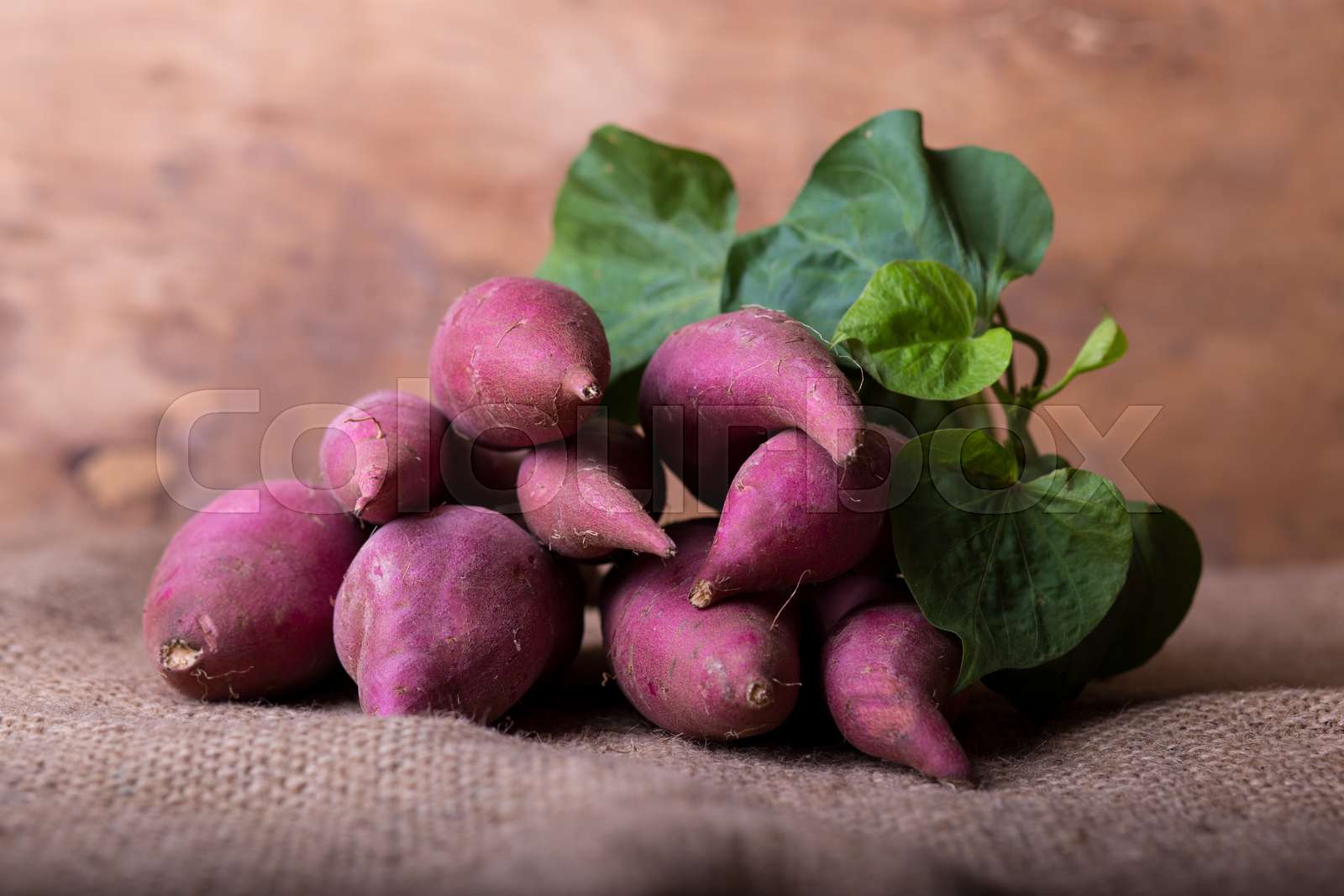 pink sweet potatoes | Stock image | Colourbox