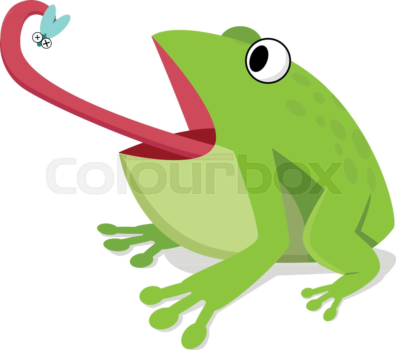 Green frog eat insect on white, cartoon vector | Stock vector | Colourbox