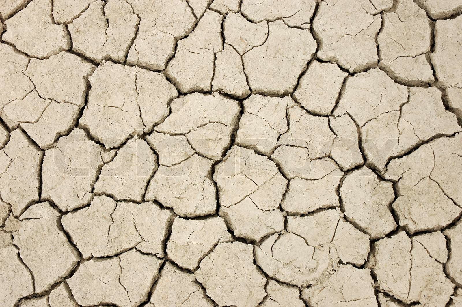 Cracked, parched land after a drought | Stock image | Colourbox
