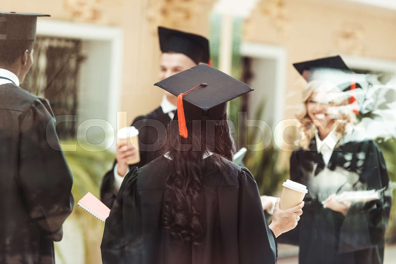 multiethnic students in graduation costumes | Stock image | Colourbox