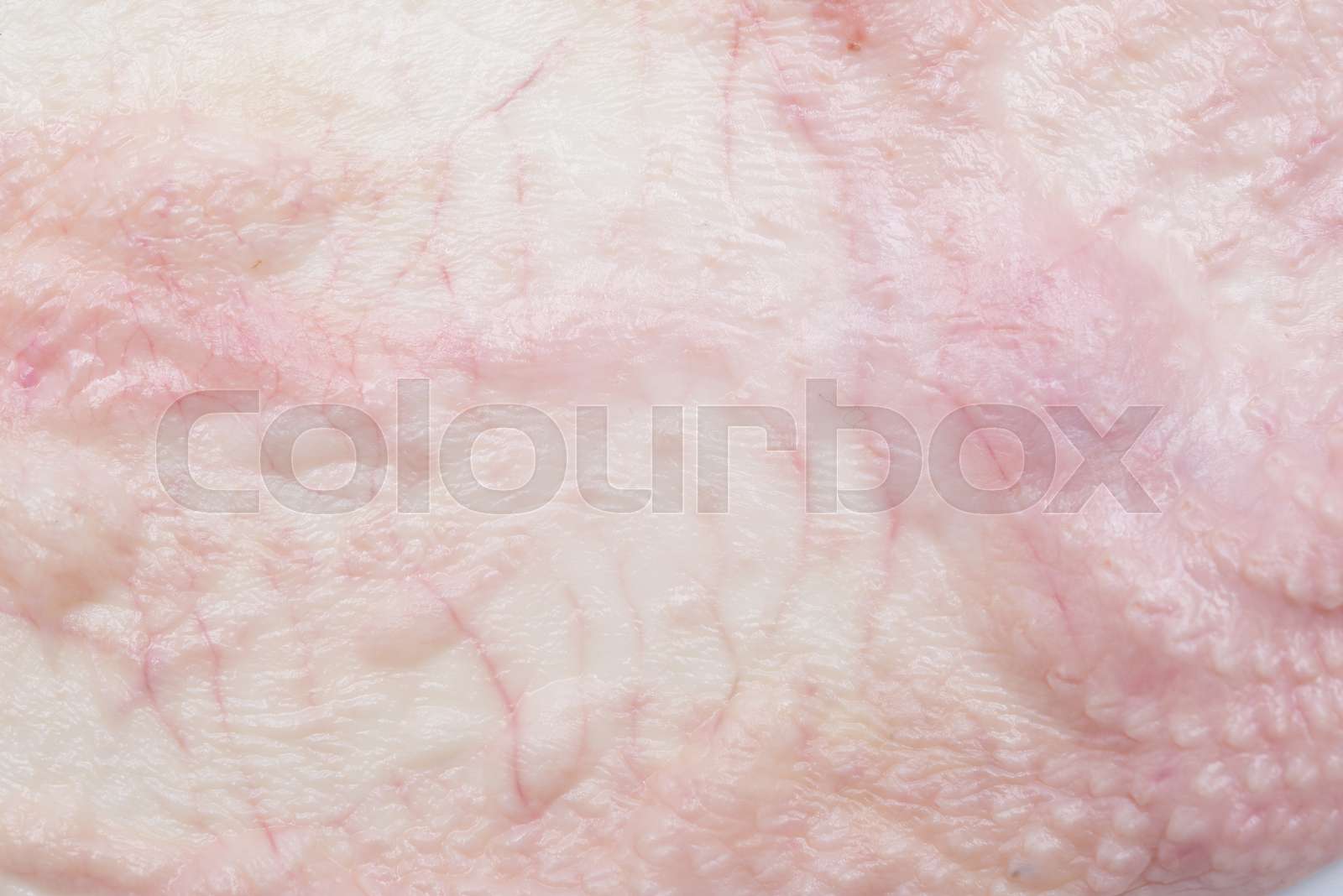 chicken skin | Stock image | Colourbox