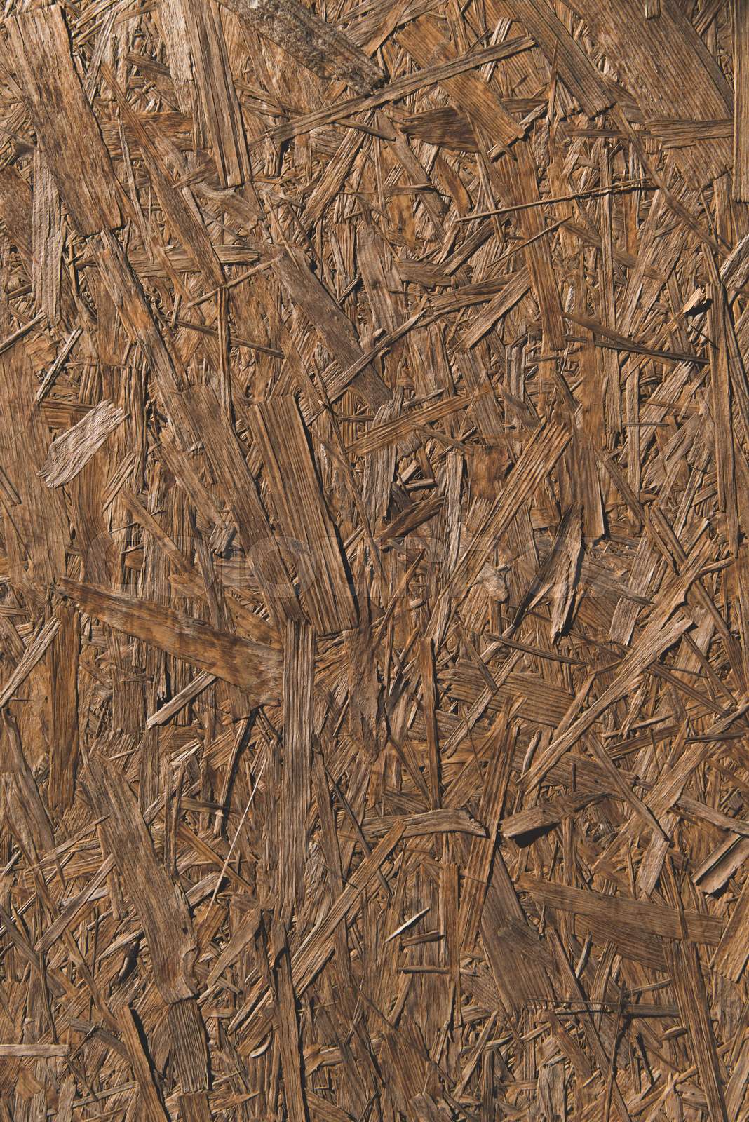 wooden chipboard texture | Stock image | Colourbox