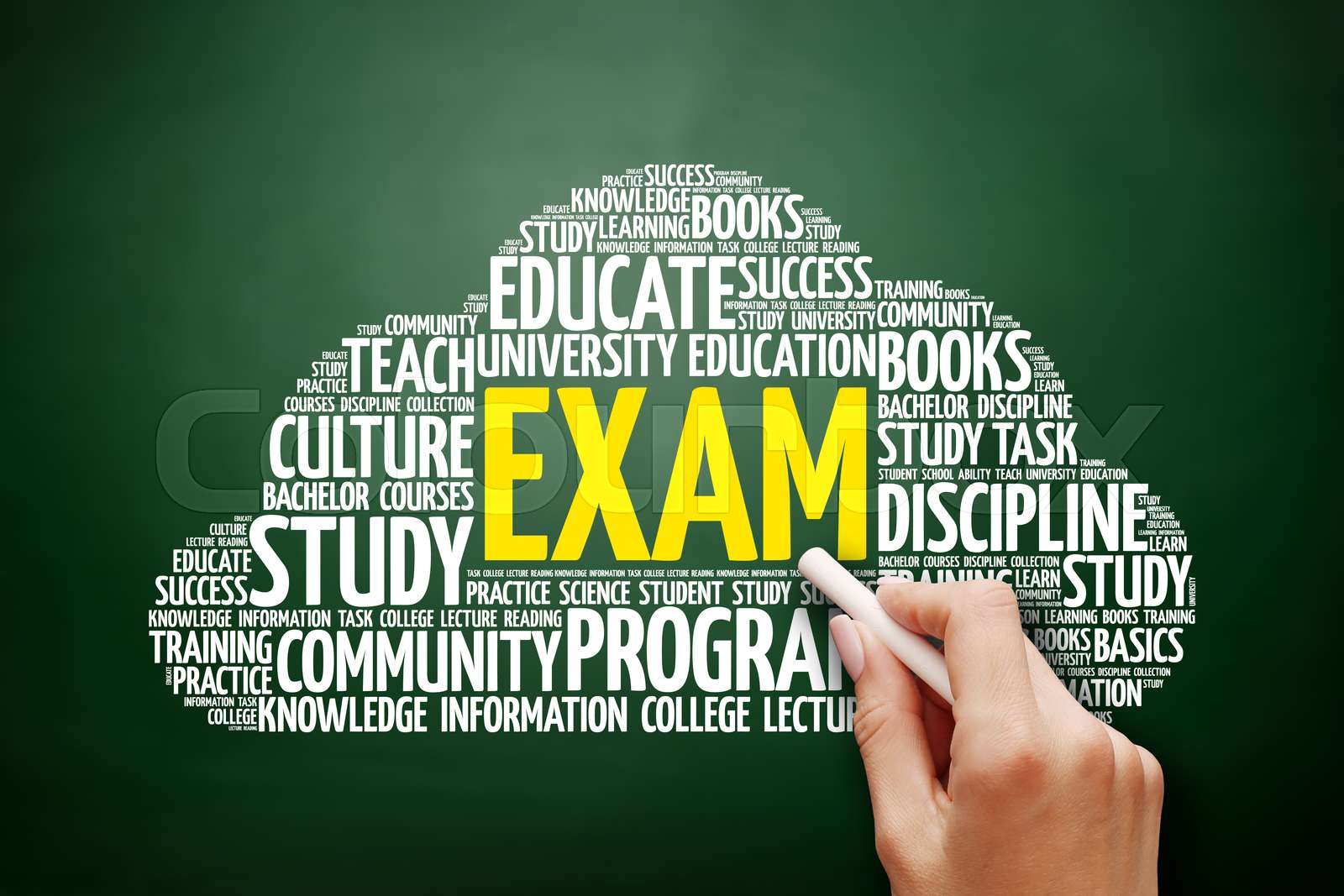 EXAM word cloud | Stock image | Colourbox
