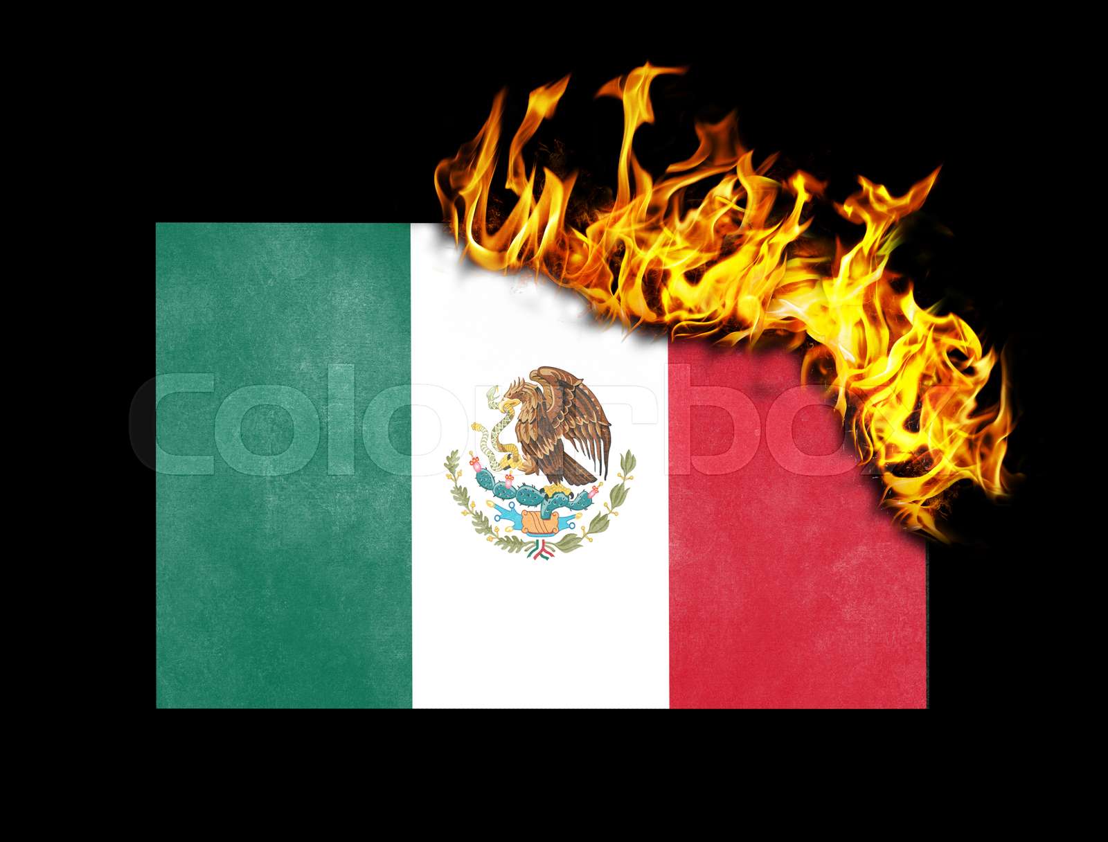 Flag burning - Mexico | Stock image | Colourbox