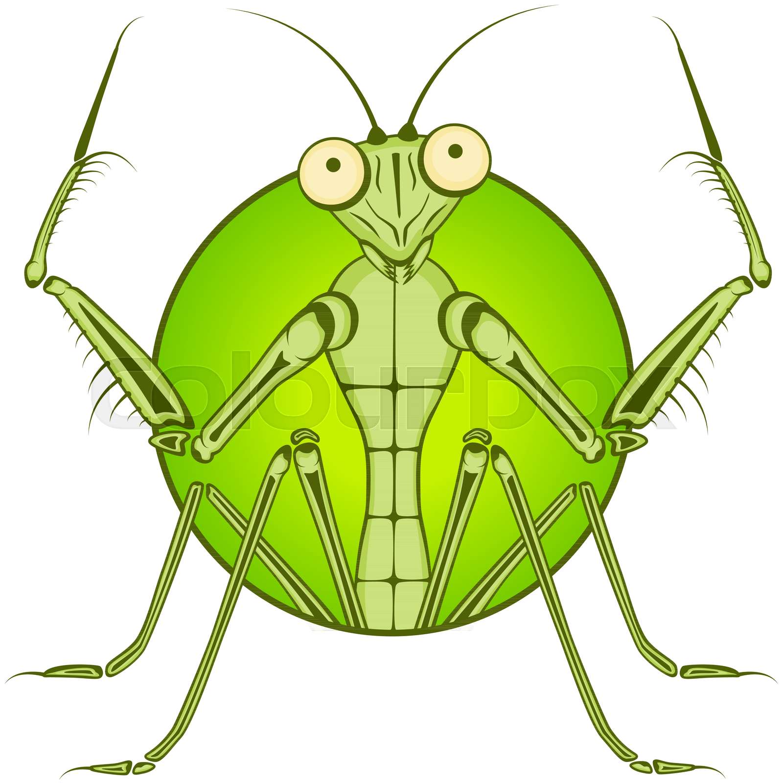 Cartoon character Mantis. | Stock vector | Colourbox