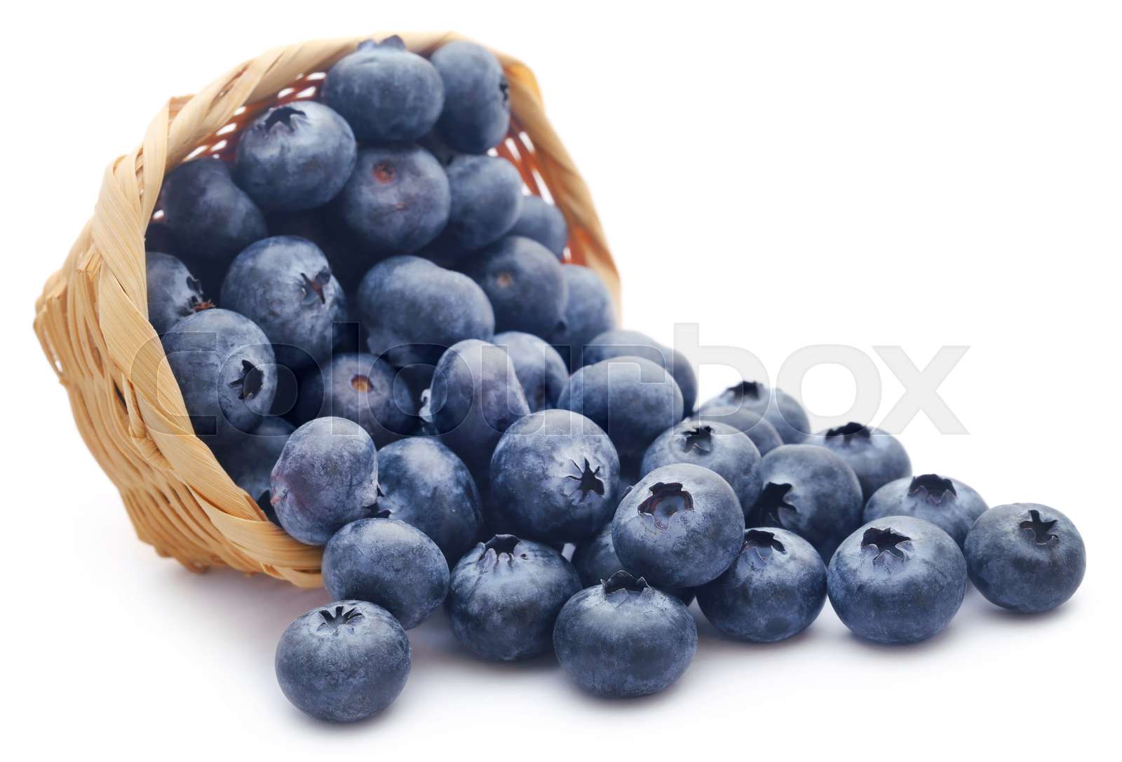 Fresh Blueberries Brands