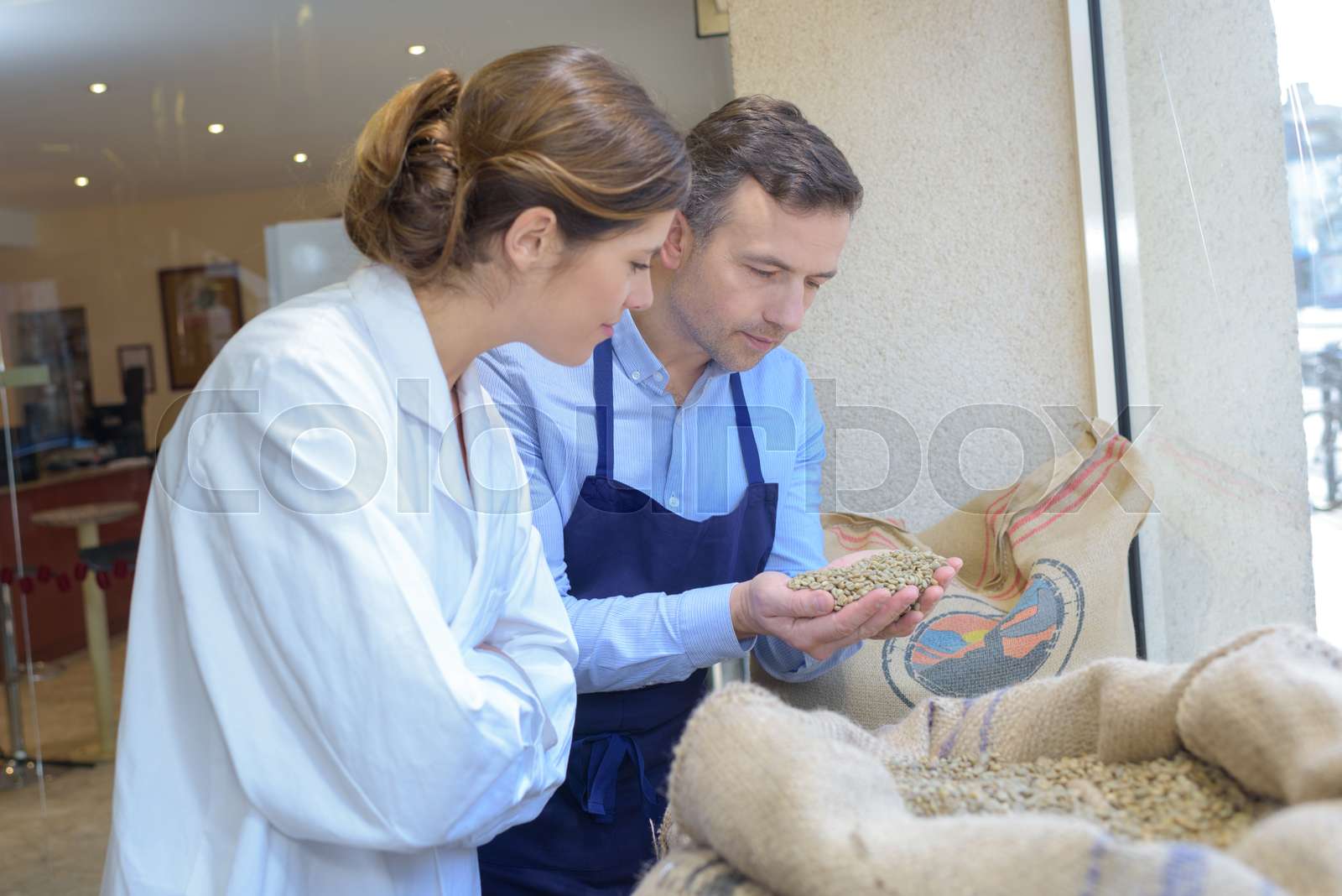 professional coffee roaster showing scientist unroasted coffee beans ...