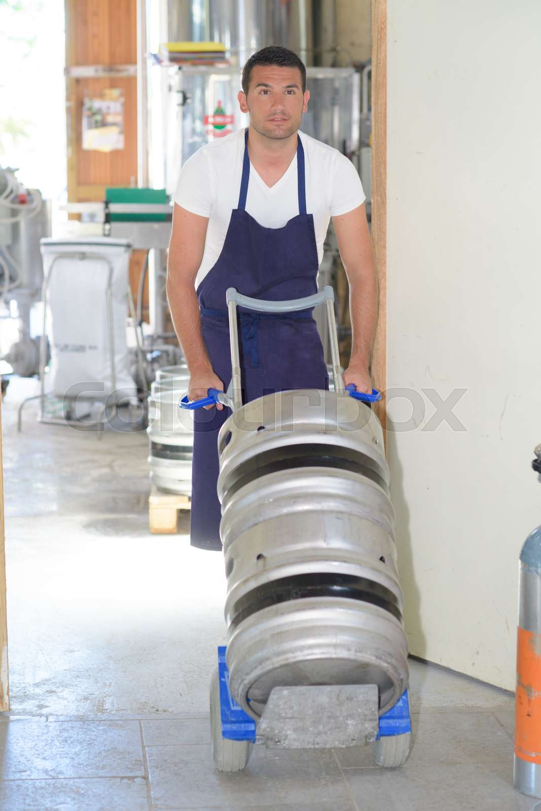 worker carrying barrel with beer at the brewery | Stock image | Colourbox