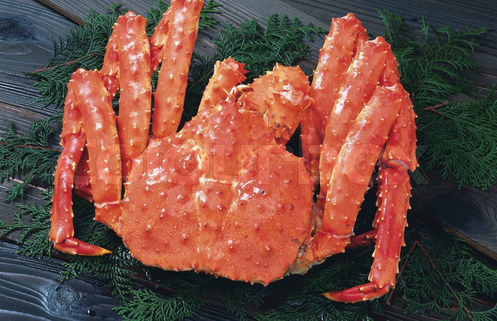 Prepared Alaskan king carb | Stock image | Colourbox