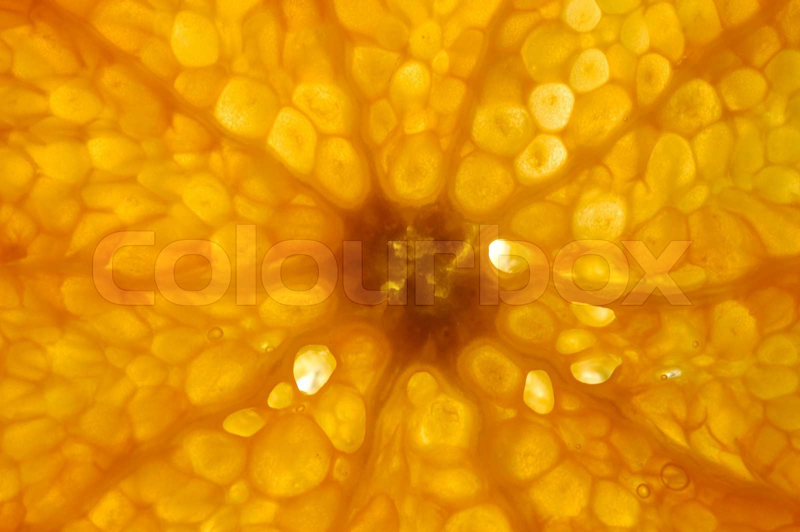 orange fruit extreme close-up | Stock image | Colourbox