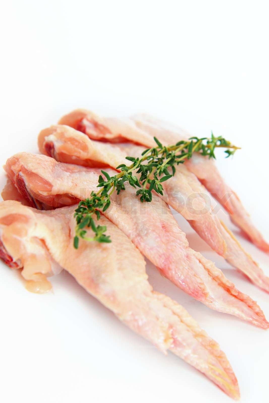 rå kylling vinger med timian på hvid baggrund | Stock foto | Colourbox