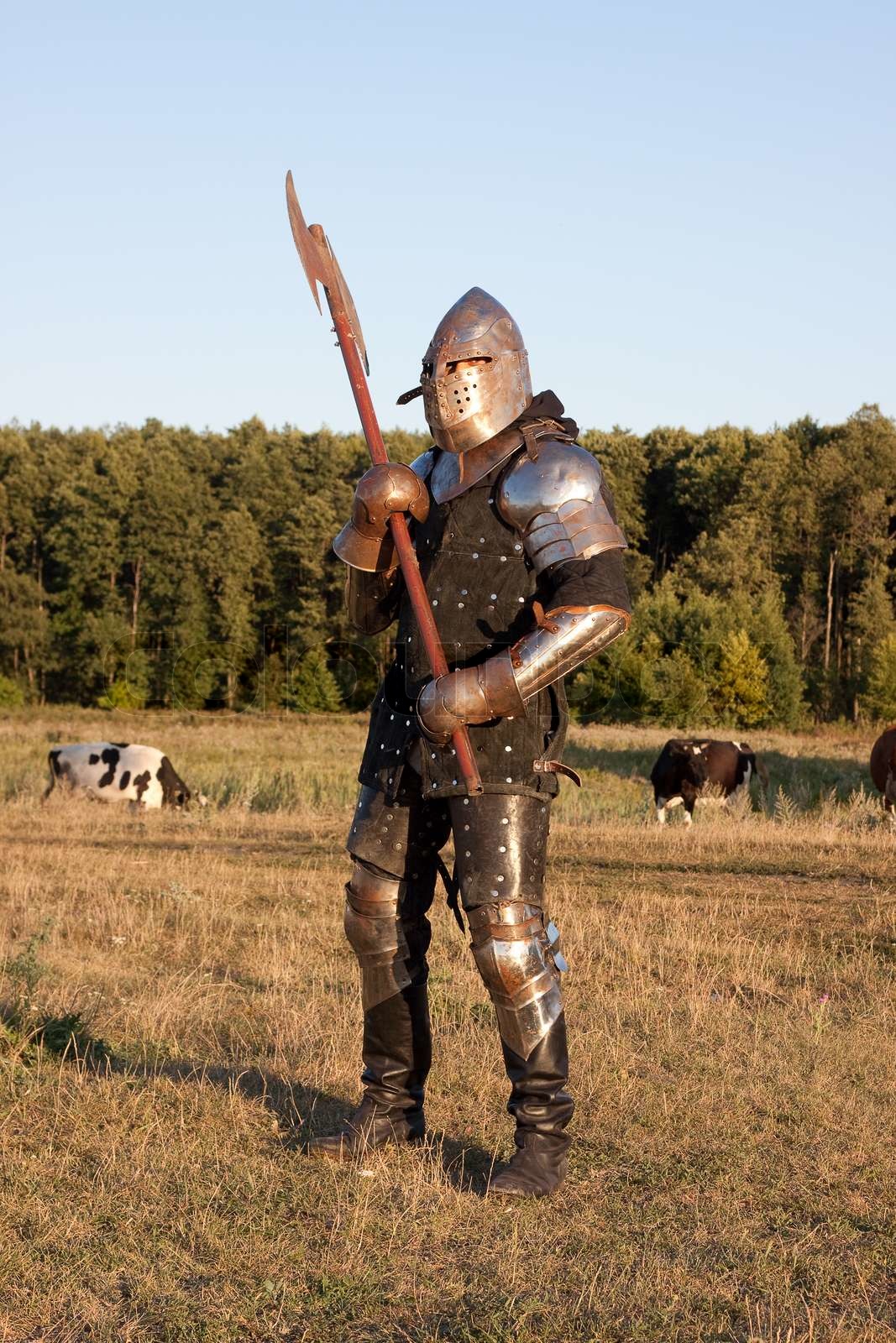 Medieval knight in the field with an axe | Stock image | Colourbox