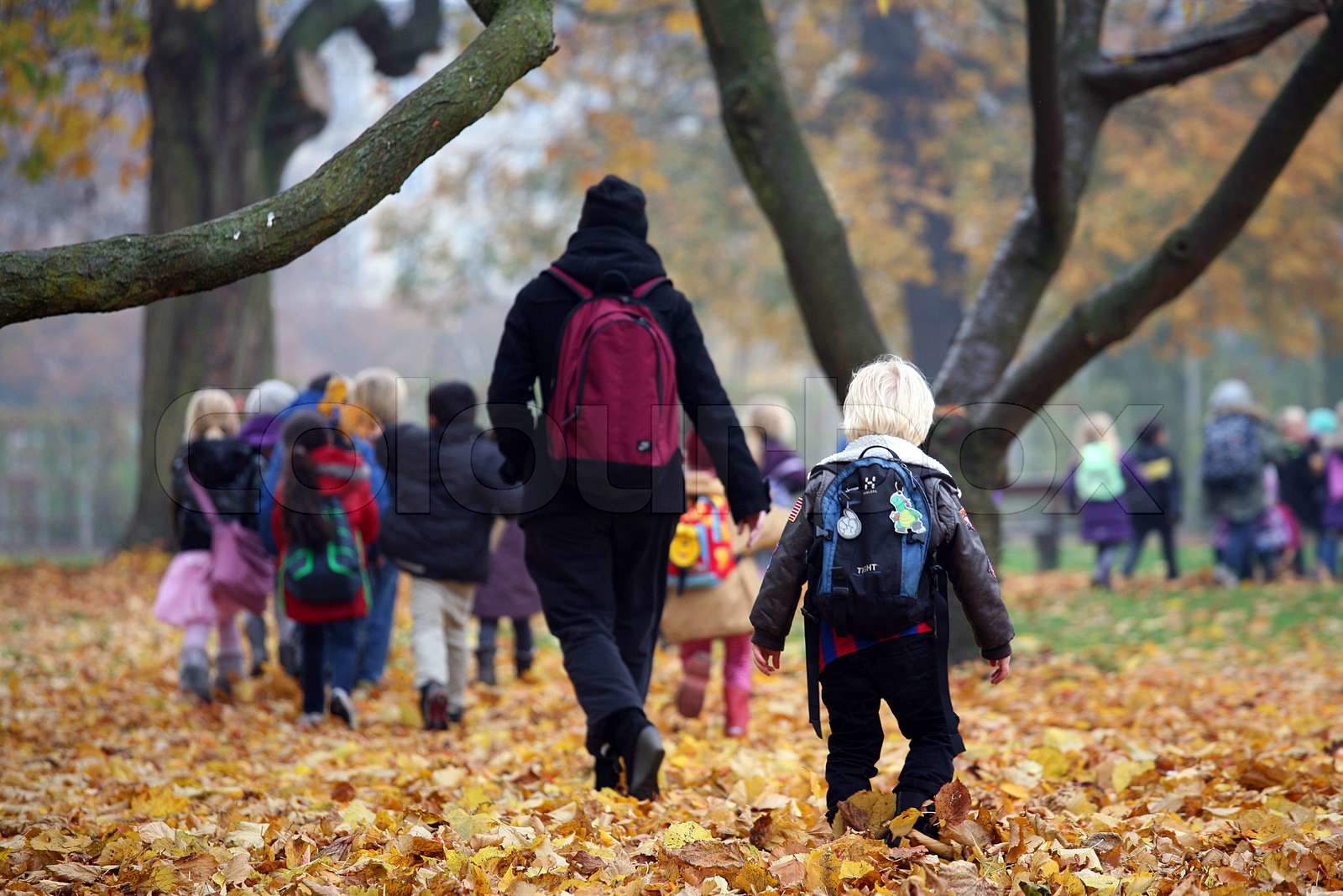 kindergarten, children, forest | Stock image | Colourbox