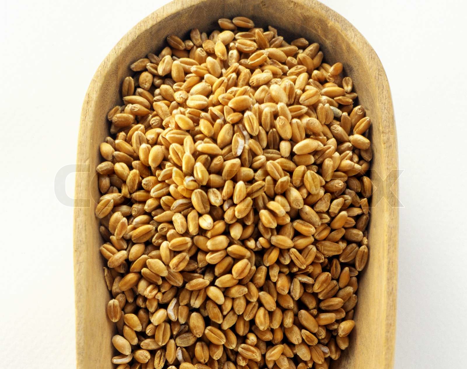 barley pearls | Stock image | Colourbox