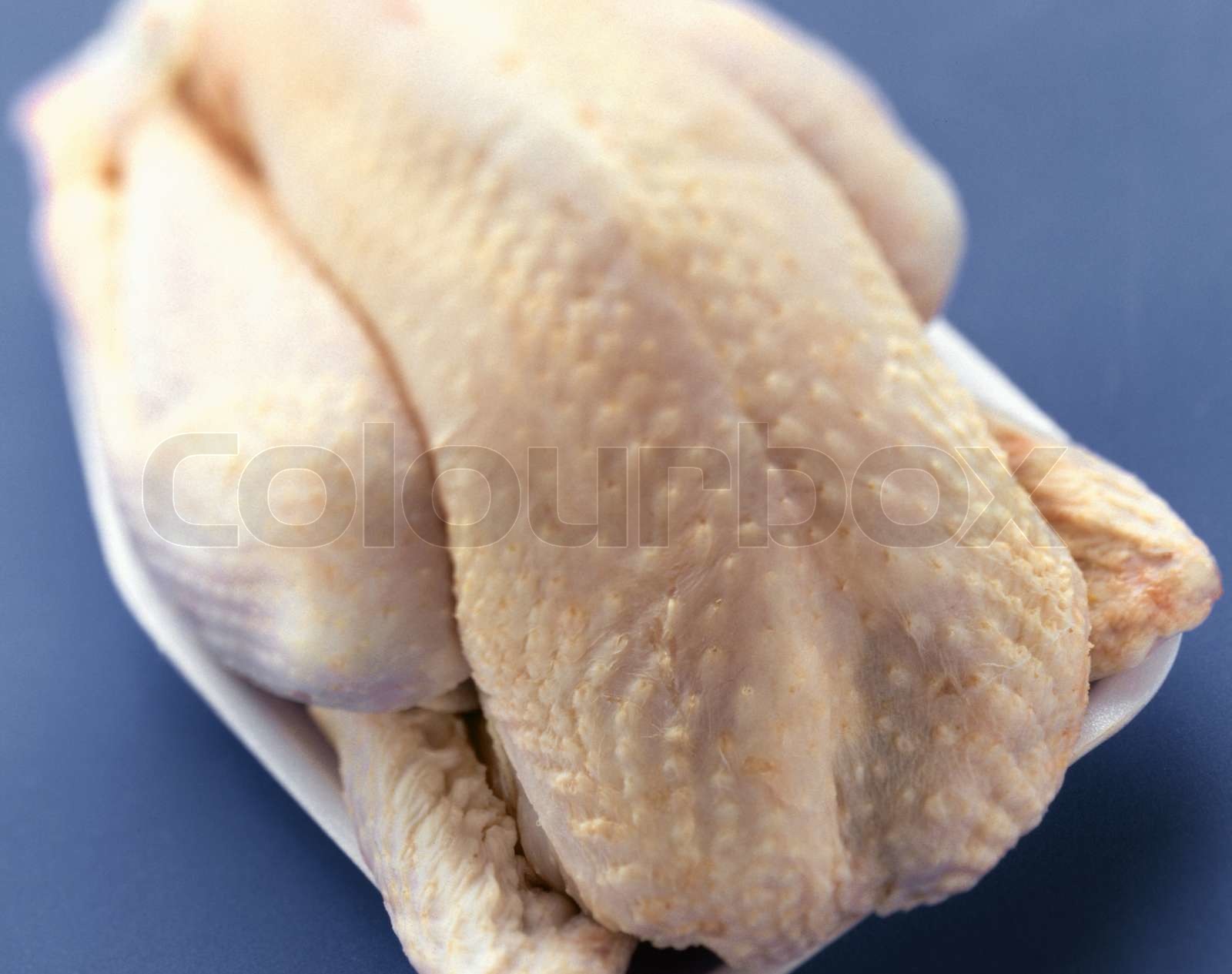 Fresh chicken-broiler hen on a white substrate | Stock image | Colourbox
