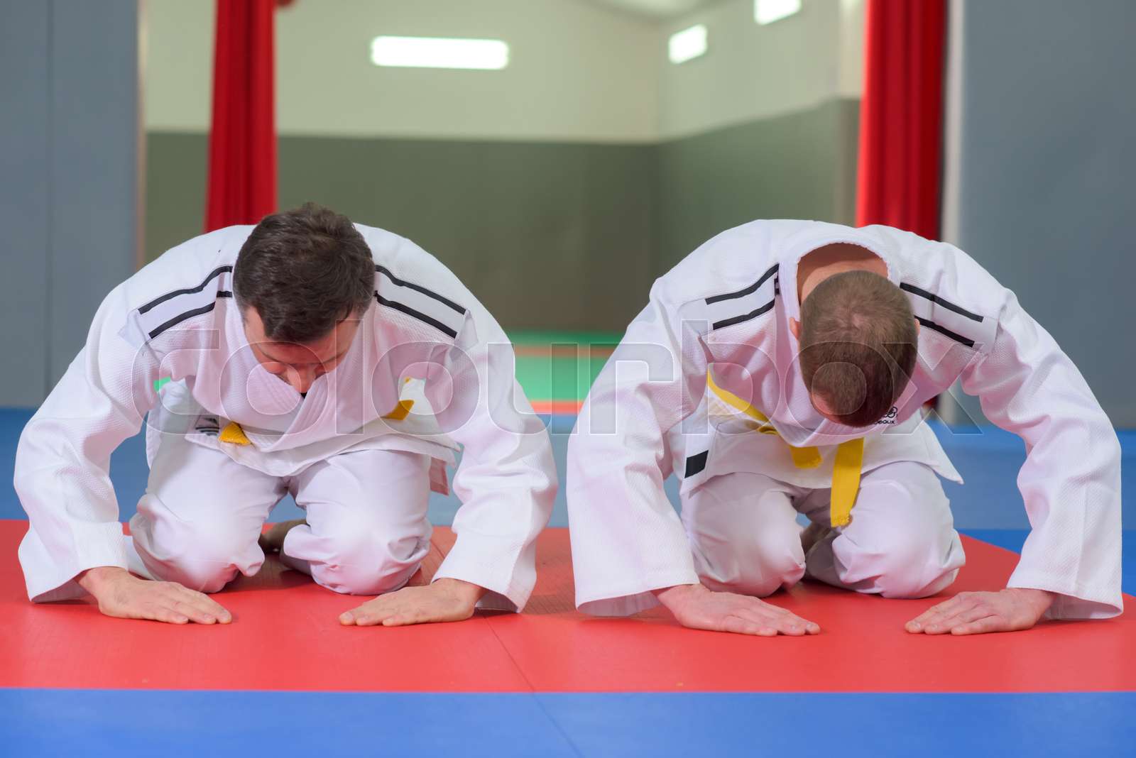 Two fighters bowing before a fight | Stock image | Colourbox