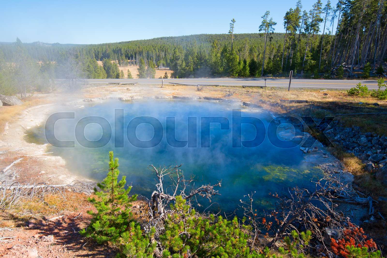 Lower geyser basin | Stock image | Colourbox