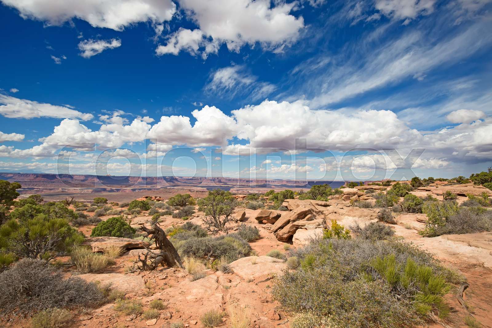 Canyonlands Stock Image Colourbox canyonlands-stock-image-colourbox