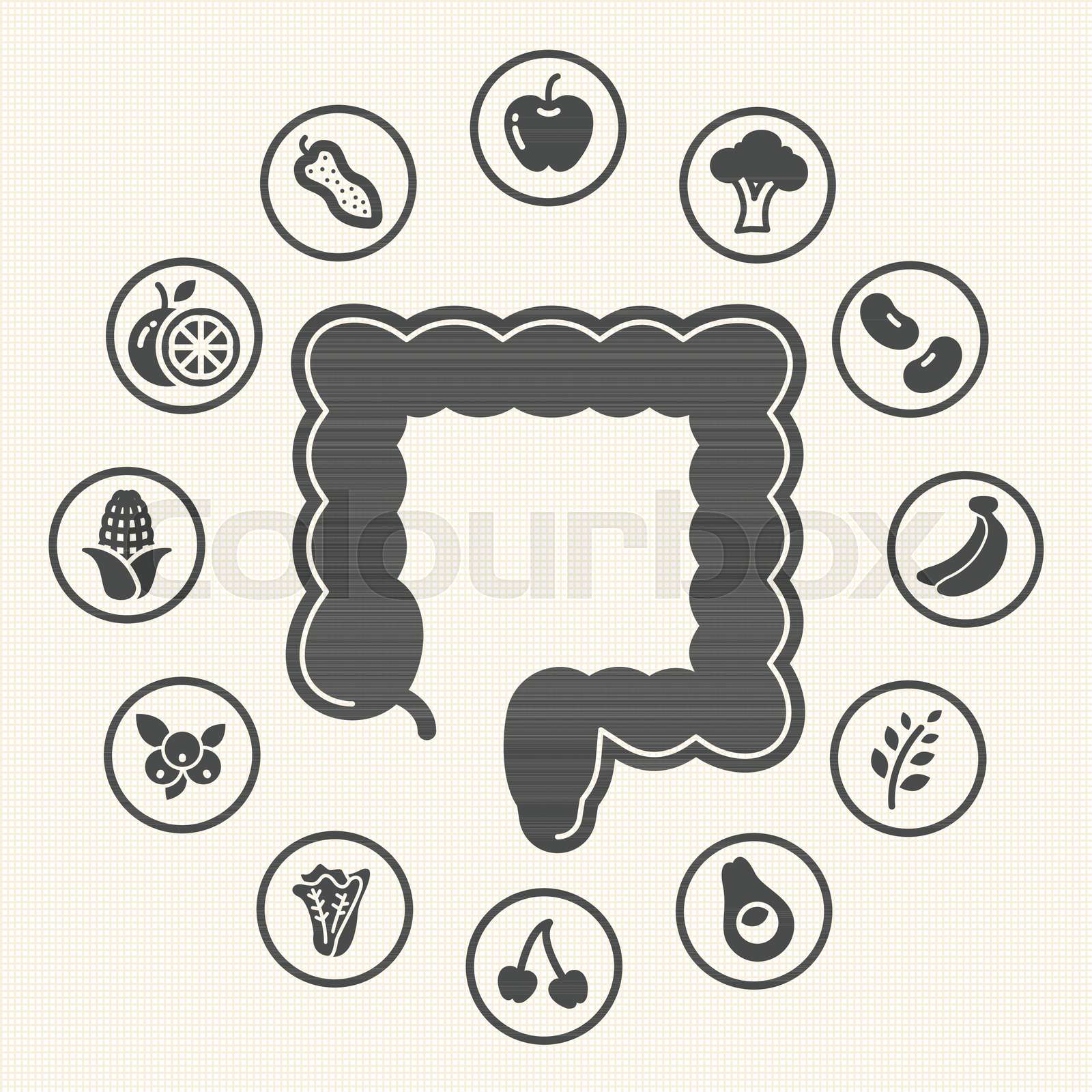 Large intestine, When your mind is hungry. Healthy food and lifestyle ...