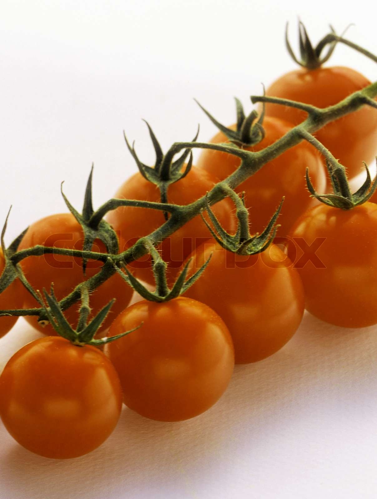 cherry tomatoes isolated | Stock image | Colourbox