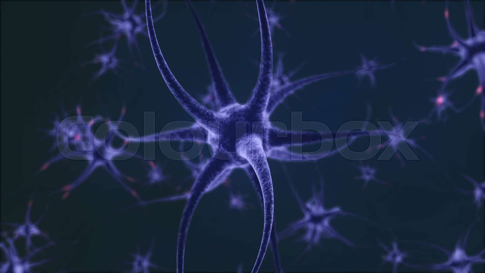 Neuron Cells, with sending informations, loop-able simulation (3d ...