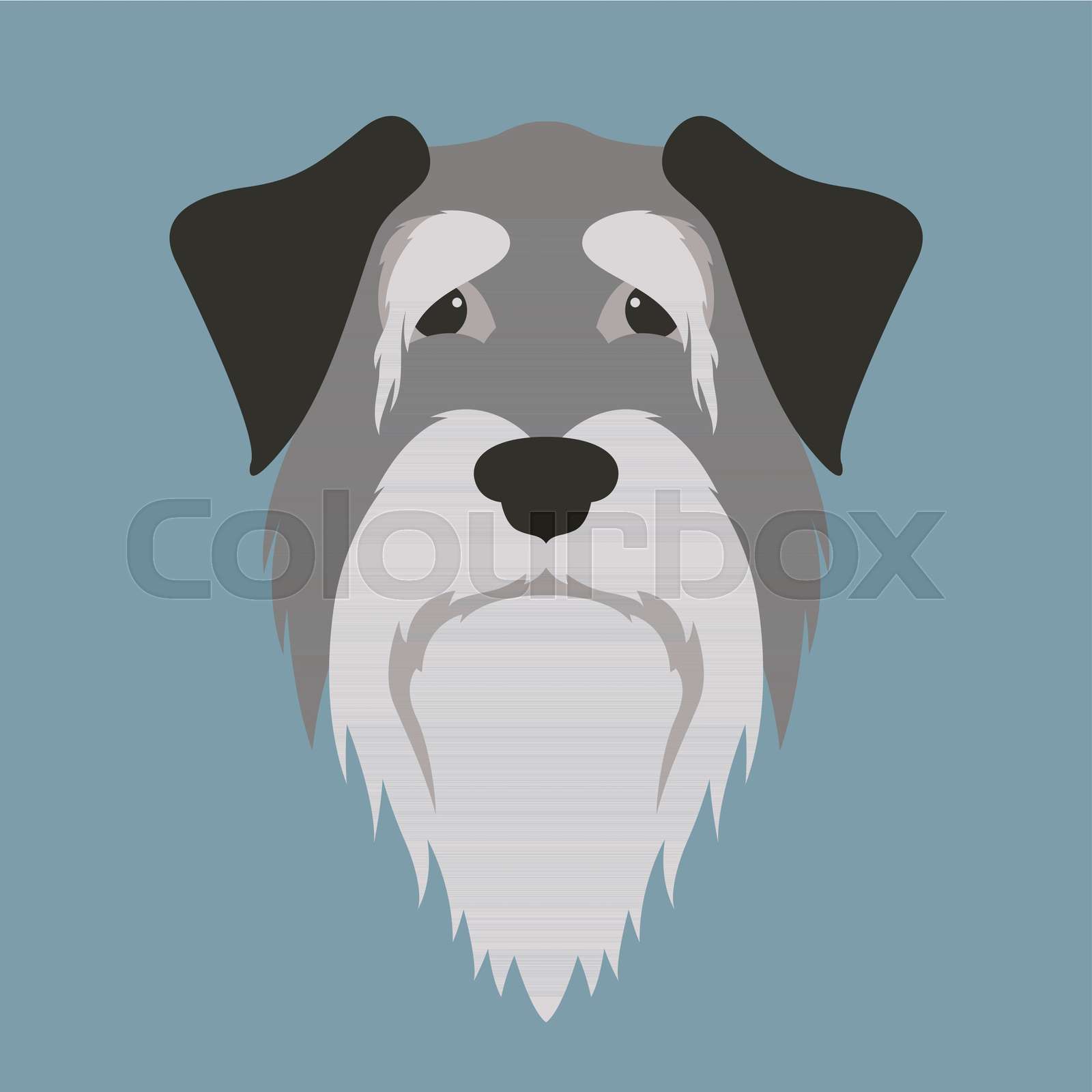 dog face head front side | Stock vector | Colourbox