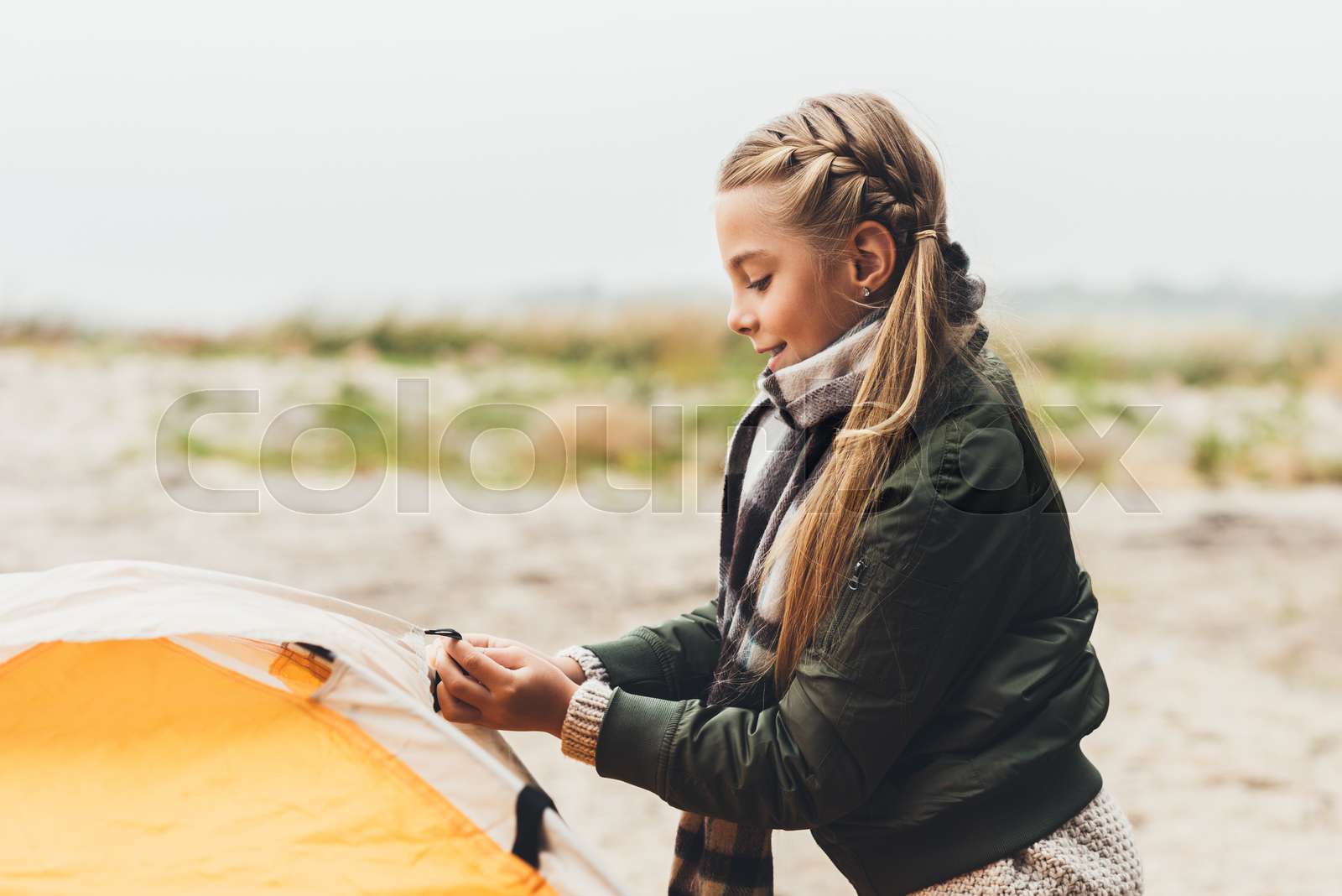 Girl Installing Camping Tent Stock Image Colourbox