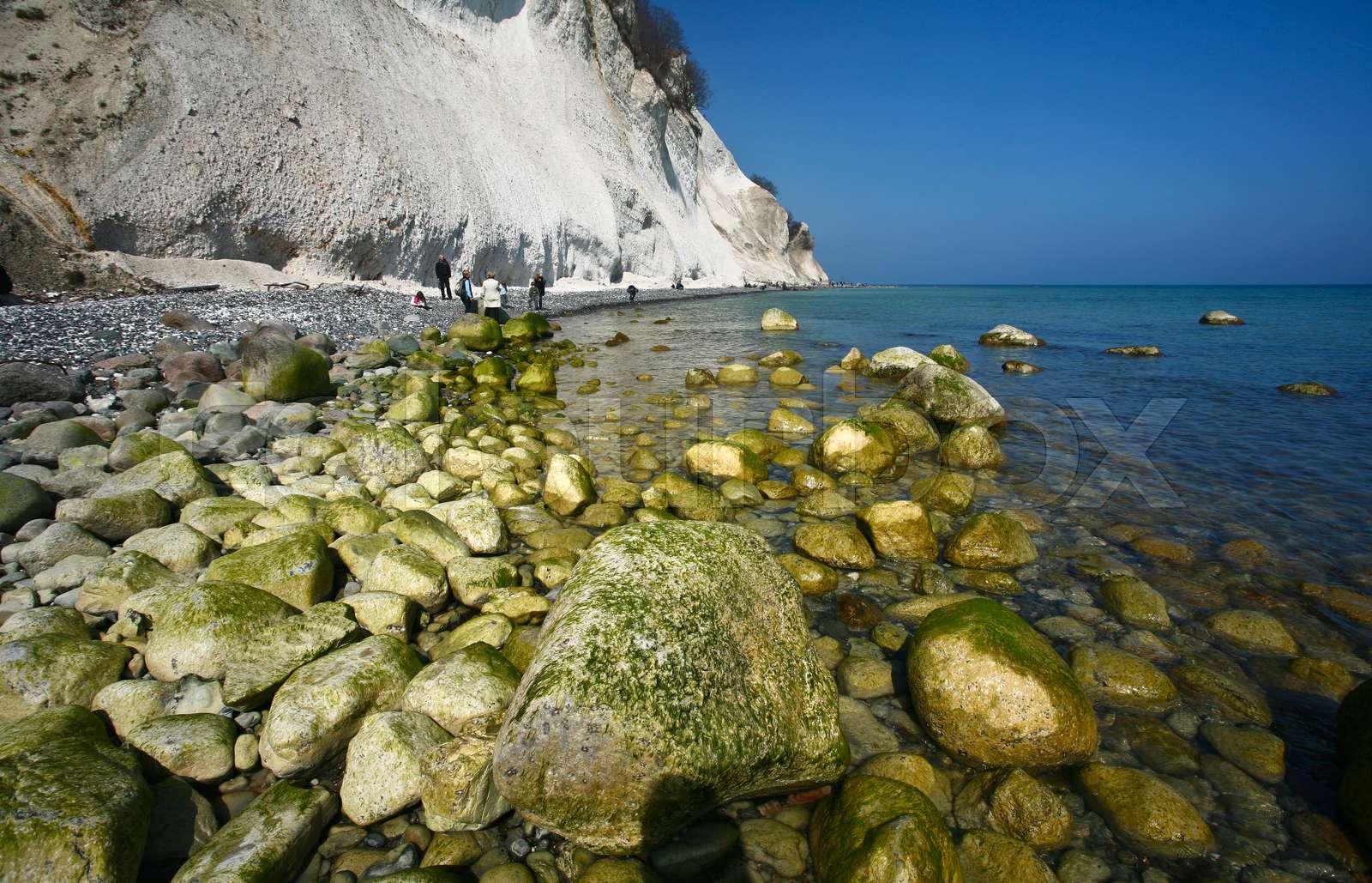 Island of Moen in Denmark | Stock image | Colourbox