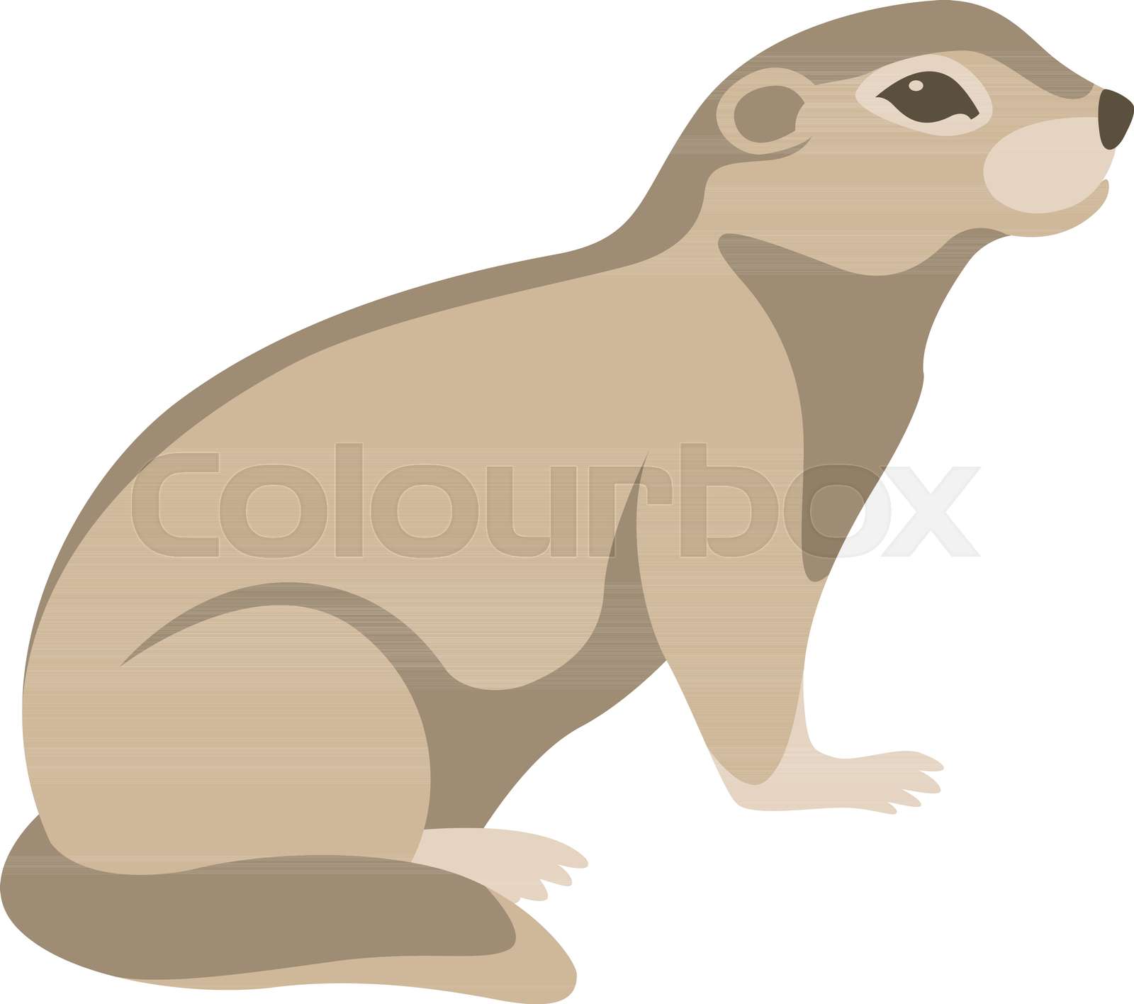 gopher vector illustration flat style | Stock vector | Colourbox