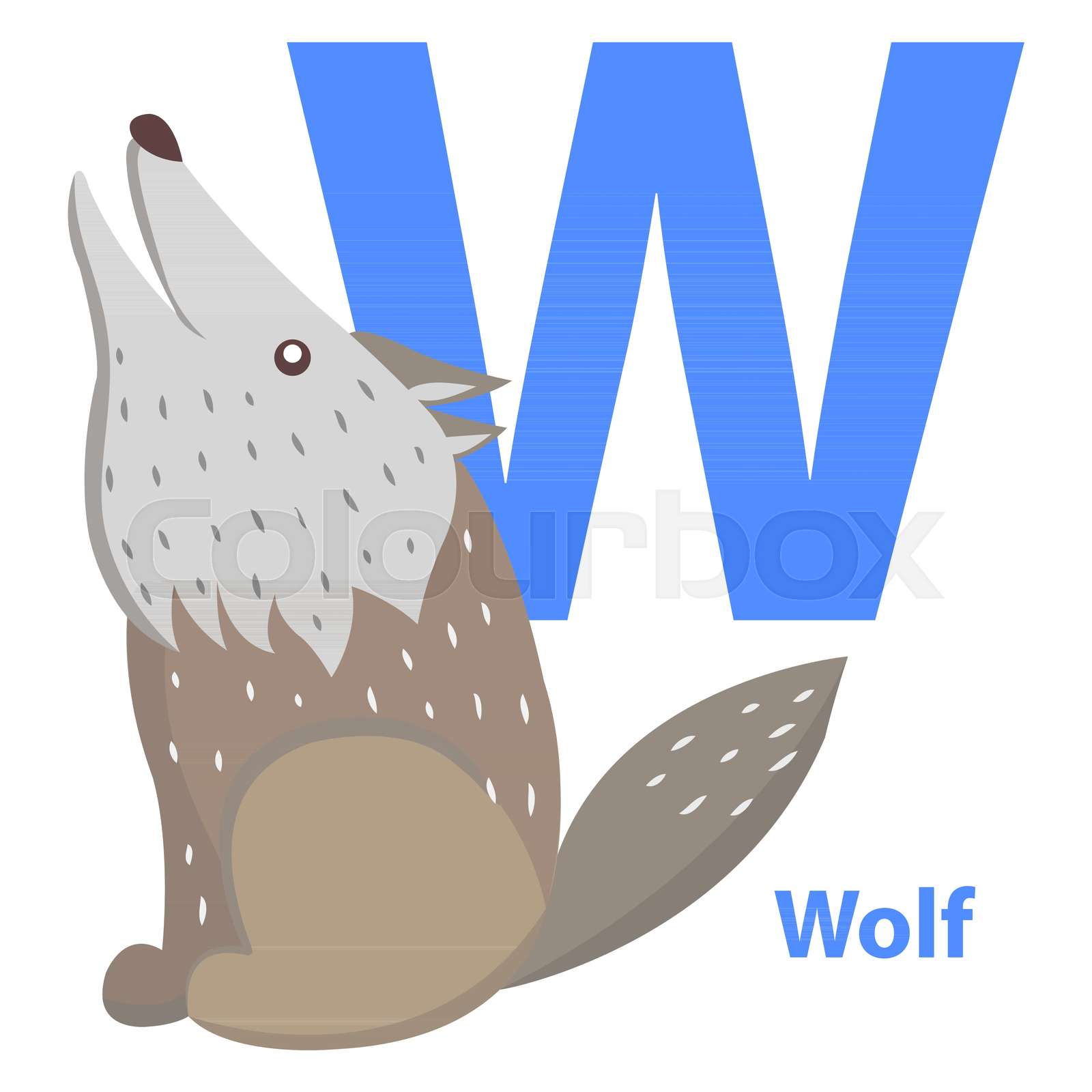 Blue Letter W Sitting and Howling Wolf ABC Cards | Stock vector | Colourbox