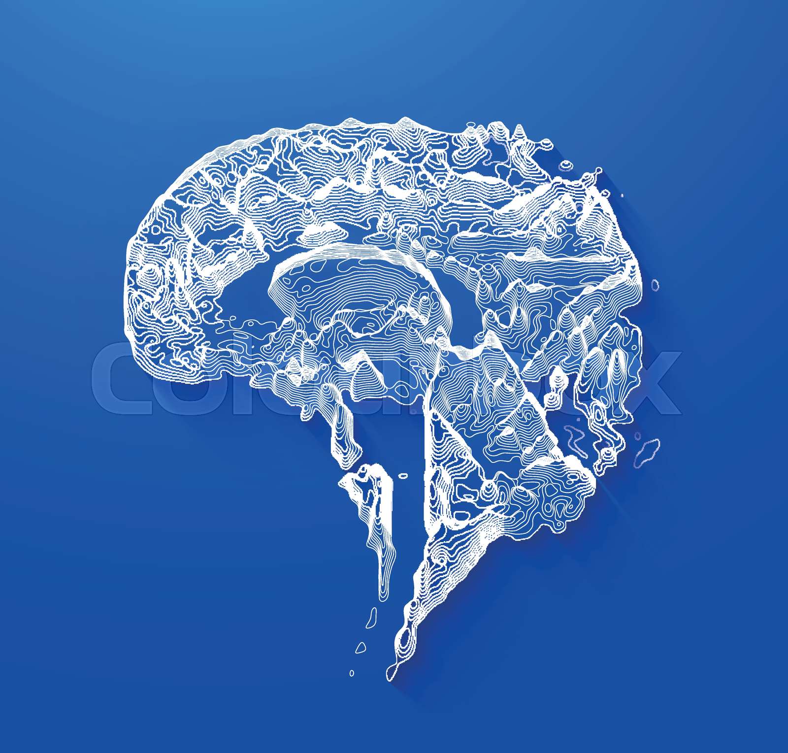 The brain in the form of a topographic map. The concept of modern ...