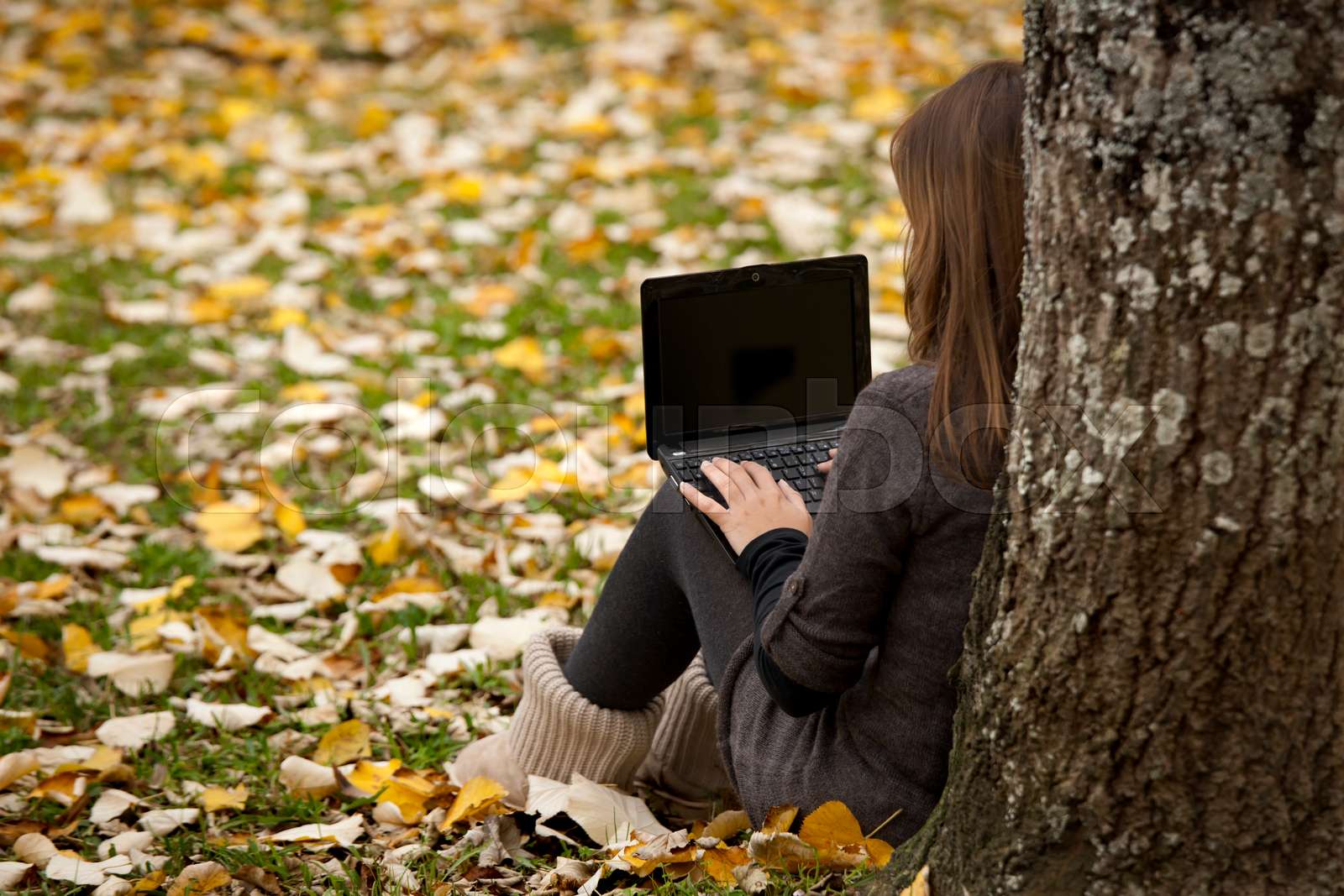 Woman working outdoor | Stock image | Colourbox