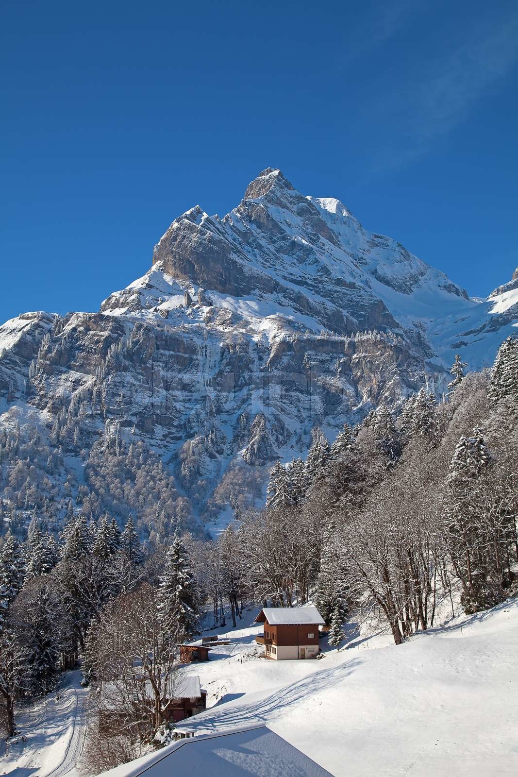 Typical swiss winter season landscape | Stock image | Colourbox