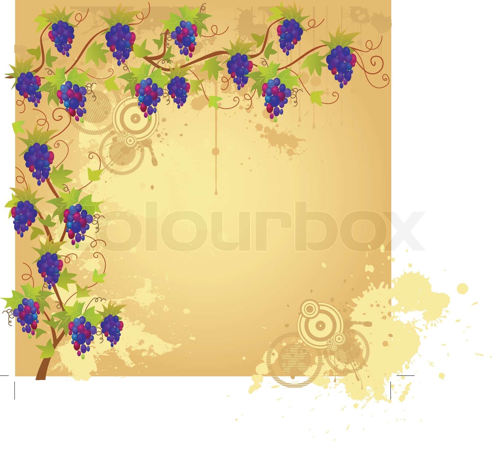 Grapevine border | Stock vector | Colourbox