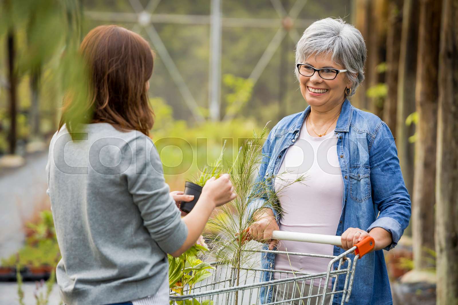Worker and customer in a green house - Stock Image - Everypixel