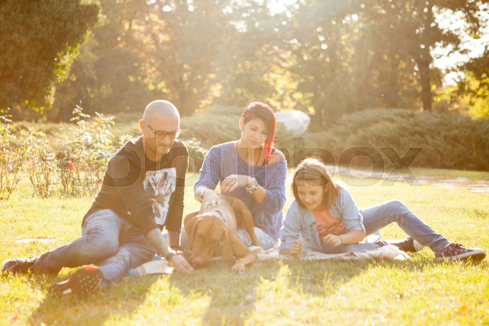 Gorgeous family of three playing in the park with their dog | Stock ...